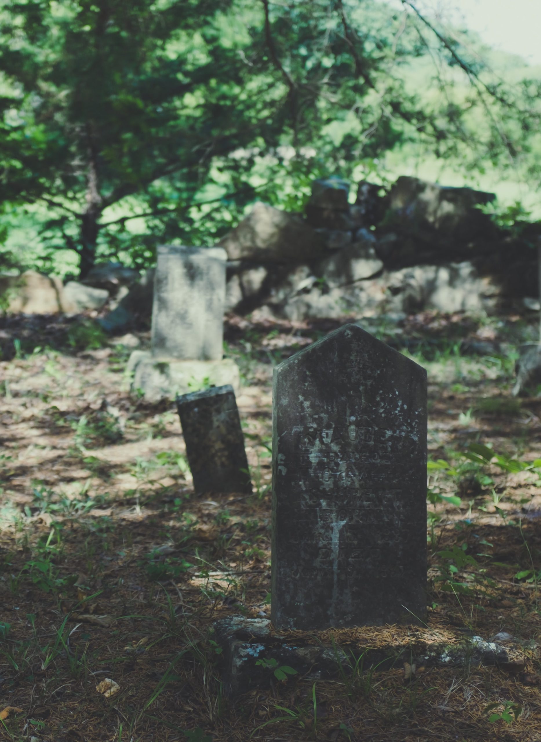 New Burial Grounds Project to create digital record of graveyards ...