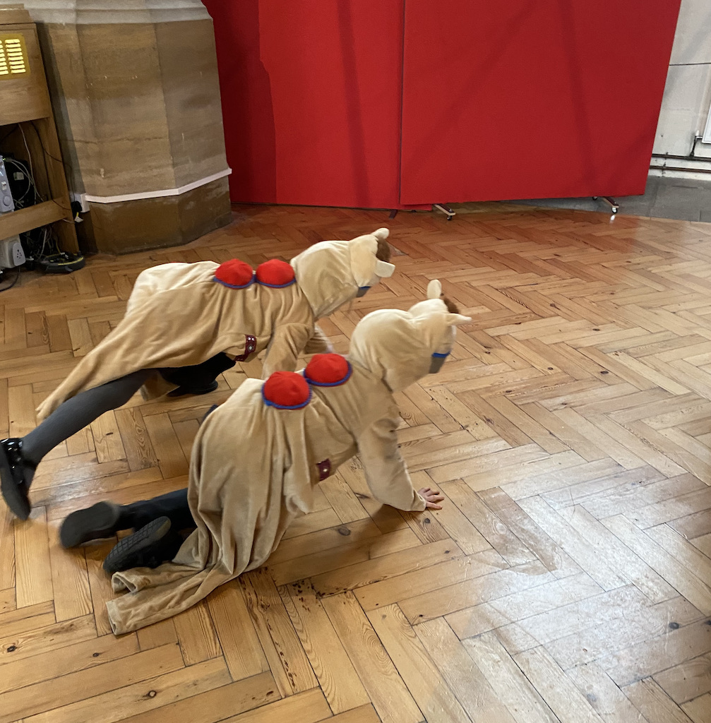 Advent Adventures across Cornwall - Truro Diocese : Truro Diocese